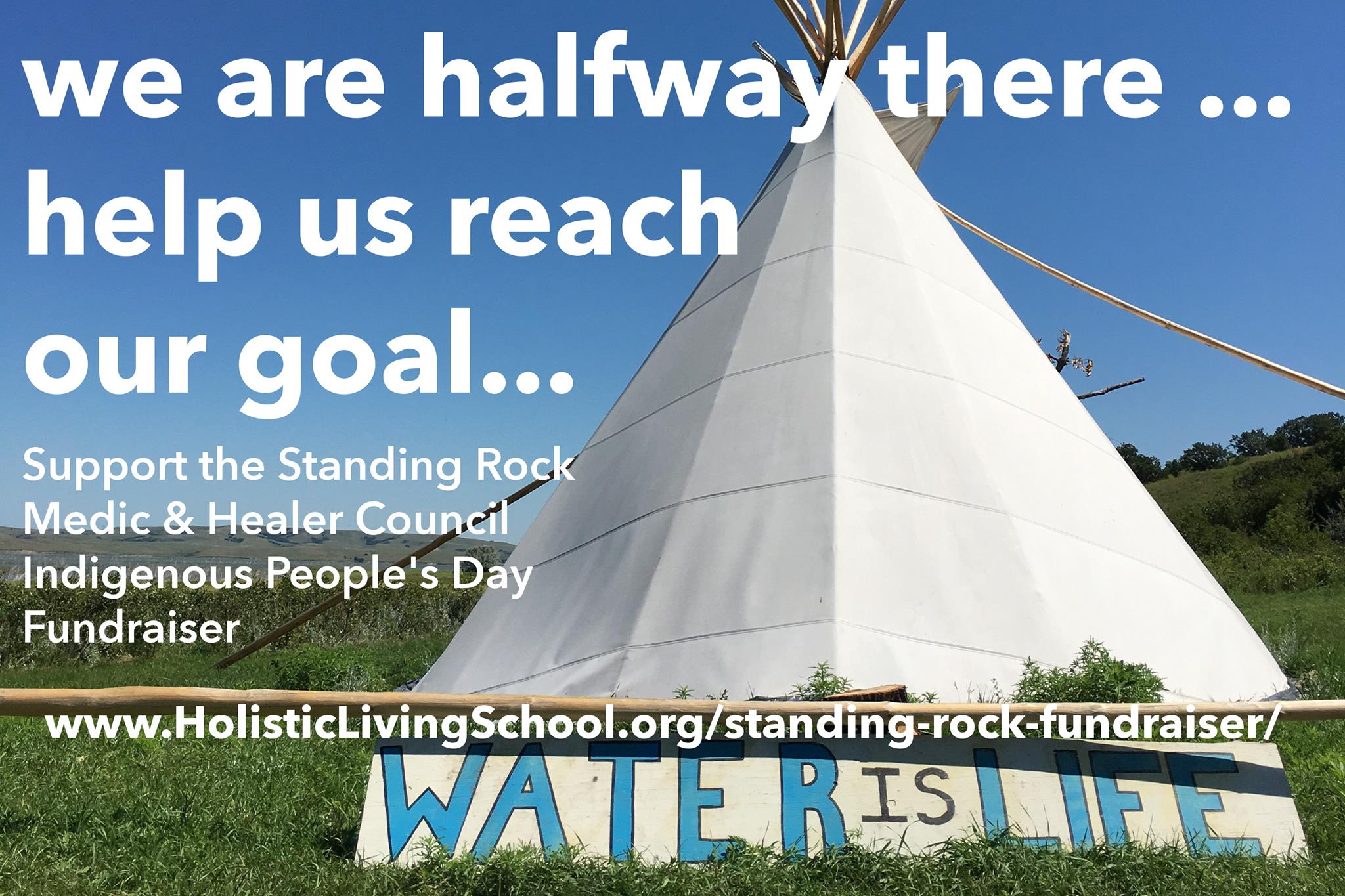 Help Support The Water Protectors Pixies Pocket
